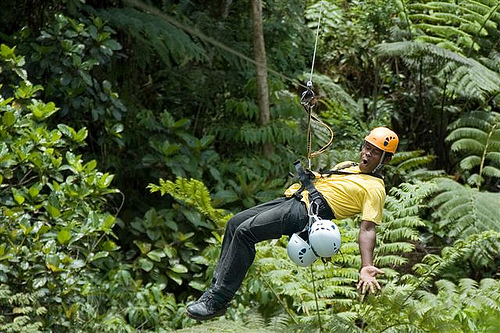 Zip Lining : MyFijiGuide.com